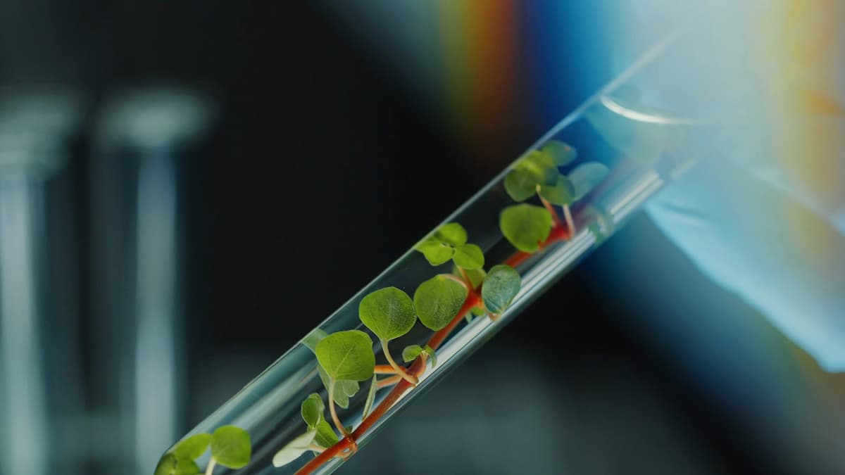 Life Science - o9 Solutions