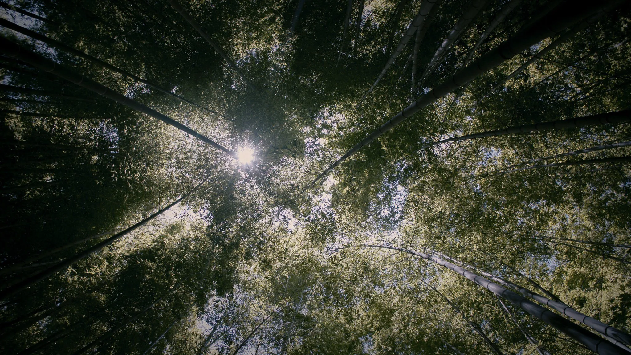 3 Ways To Incorporate Supplier Collaboration Into Your Decarbonization ...